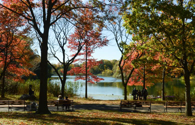 Fall Fun : NYC Parks