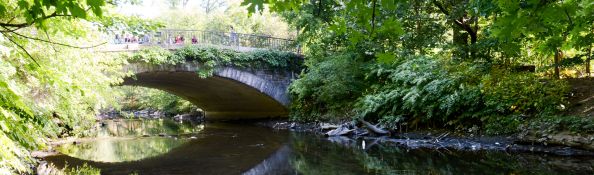 Bronx River Forest Hiking Trails : NYC Parks