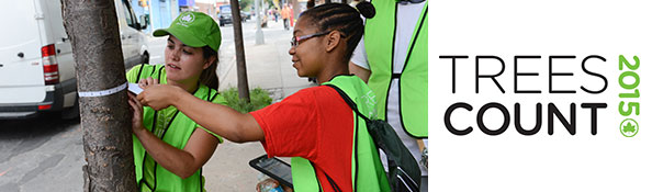 TreesCount! 2015 : NYC Parks