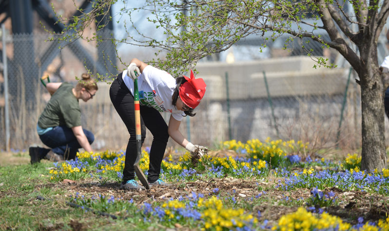 10 Ways to Make Your Neighborhood Greener This Spring : NYC Parks