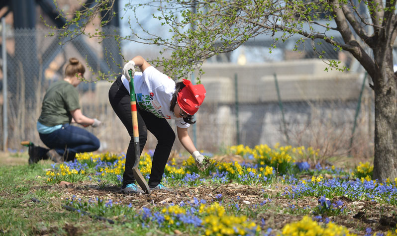 How NYC Parks Makes Your Spring : NYC Parks