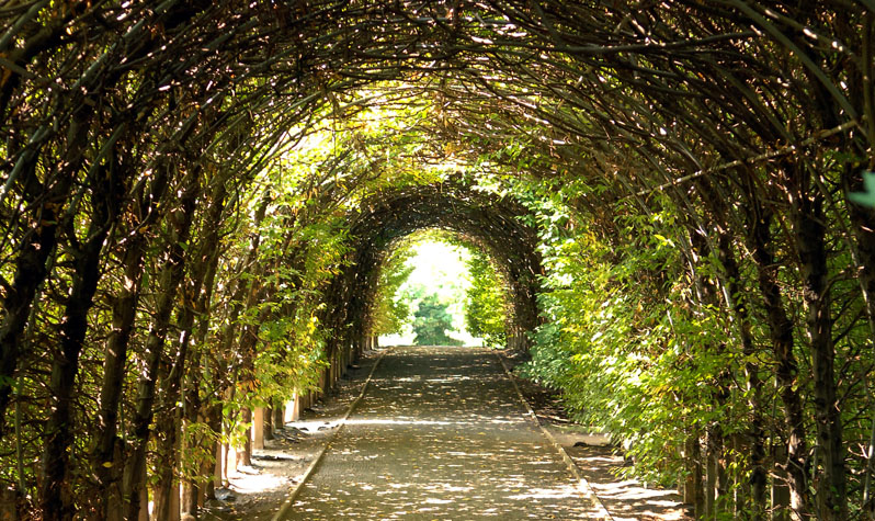 Parks You Must Visit on Staten Island : NYC Parks