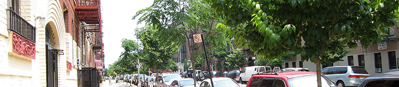 Street Tree Planting Locations : NYC Parks