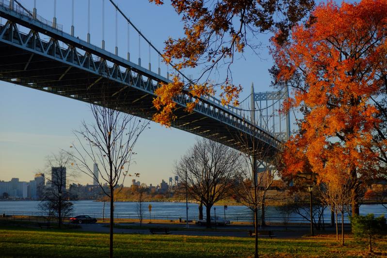 Photographers' Choice: A Year in Photos - 2017 : NYC Parks