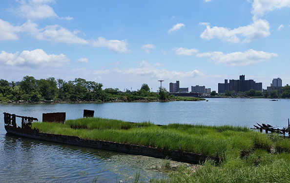 Weekend Fun : NYC Parks