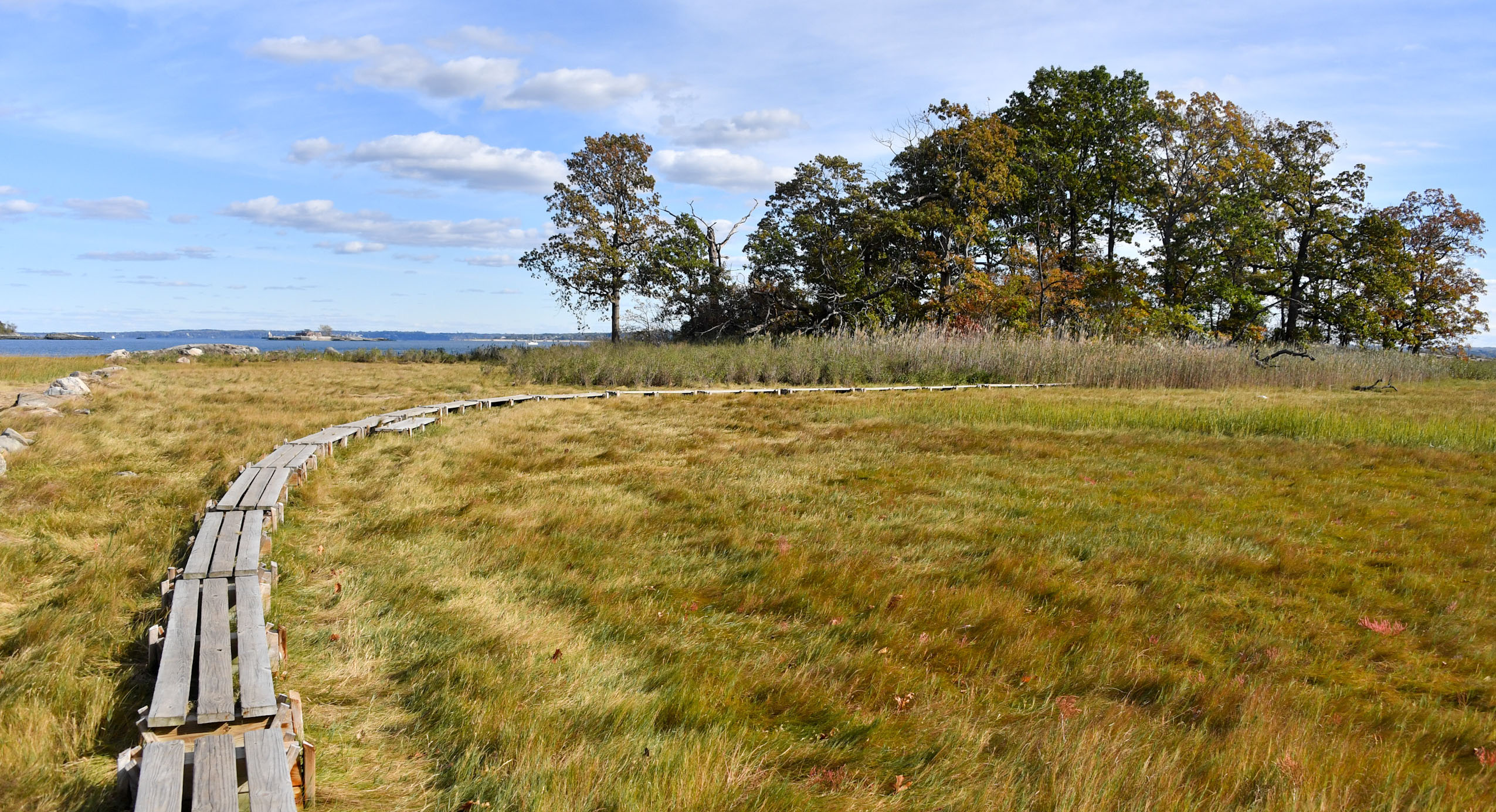 Fall Foliage in Parks : NYC Parks