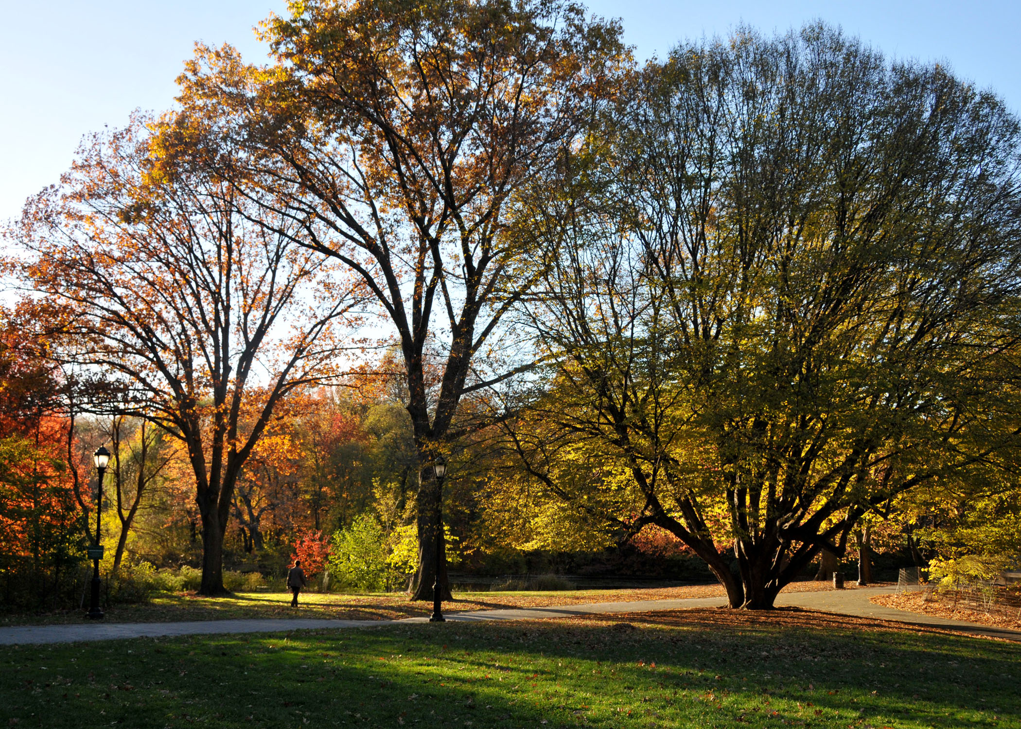 Fall Foliage in Parks : NYC Parks
