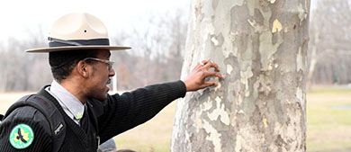 Urban Park Rangers: Nature Exploration : NYC Parks