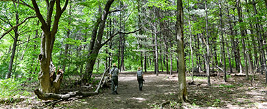 Urban Park Rangers: Hiking : NYC Parks