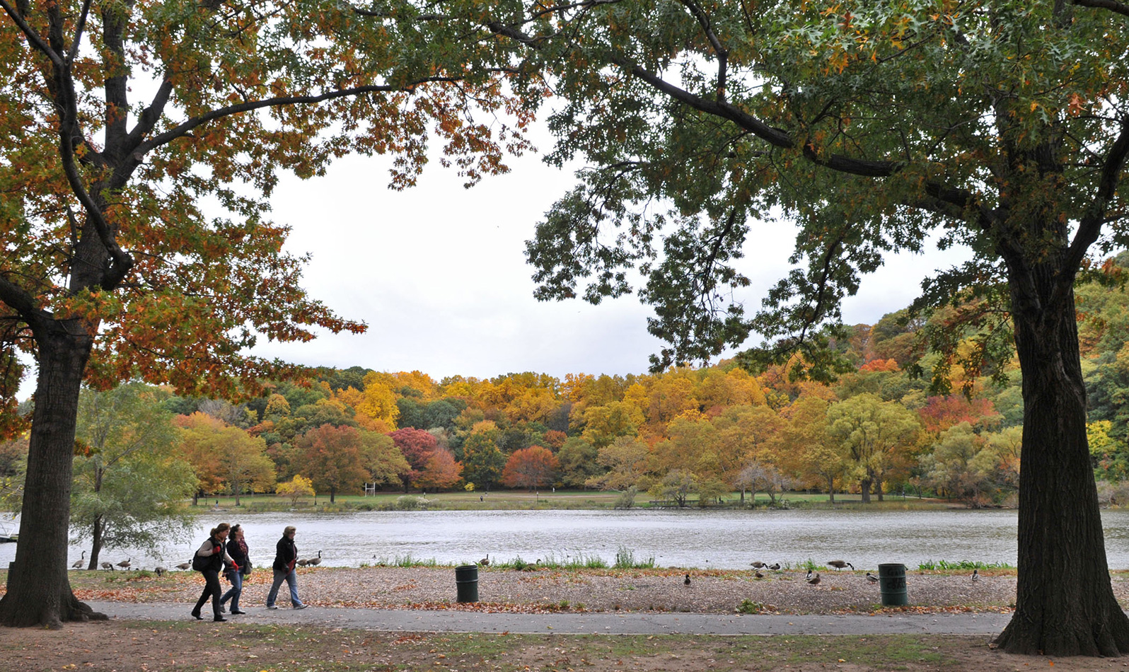 7 Recommended Hiking Trails to See Fall Foliage in NYC : NYC Parks