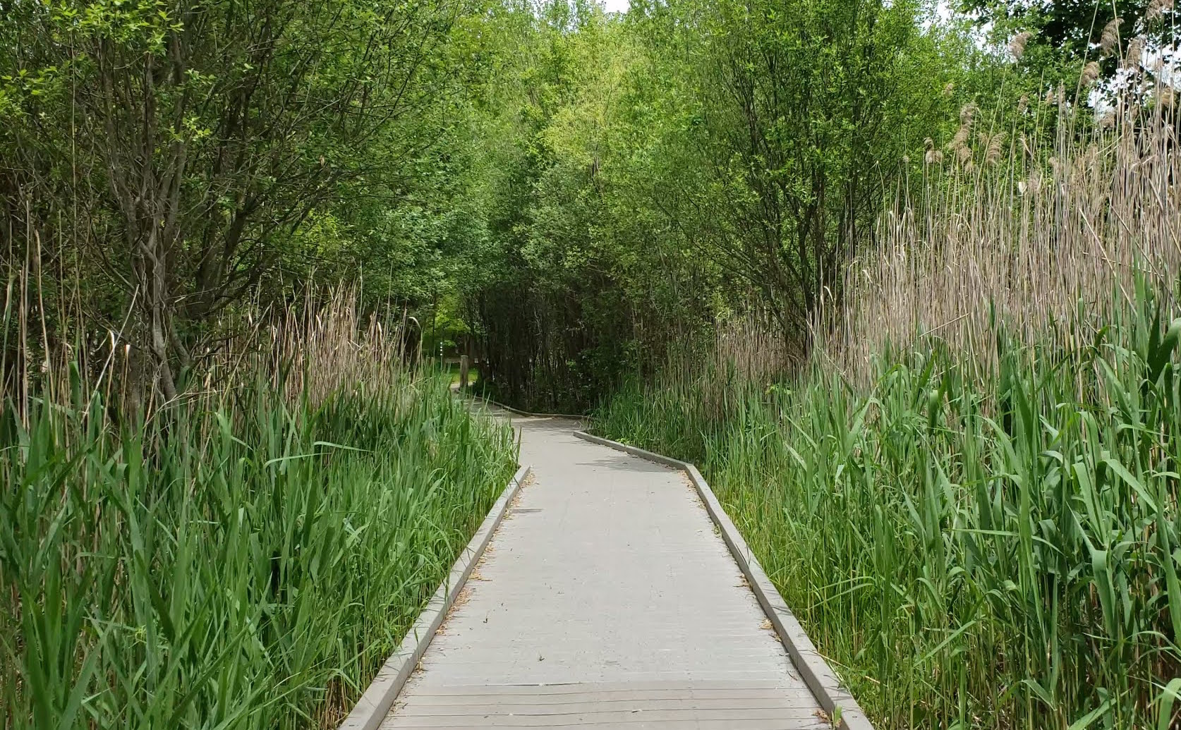 Outdoor Fitness : NYC Parks