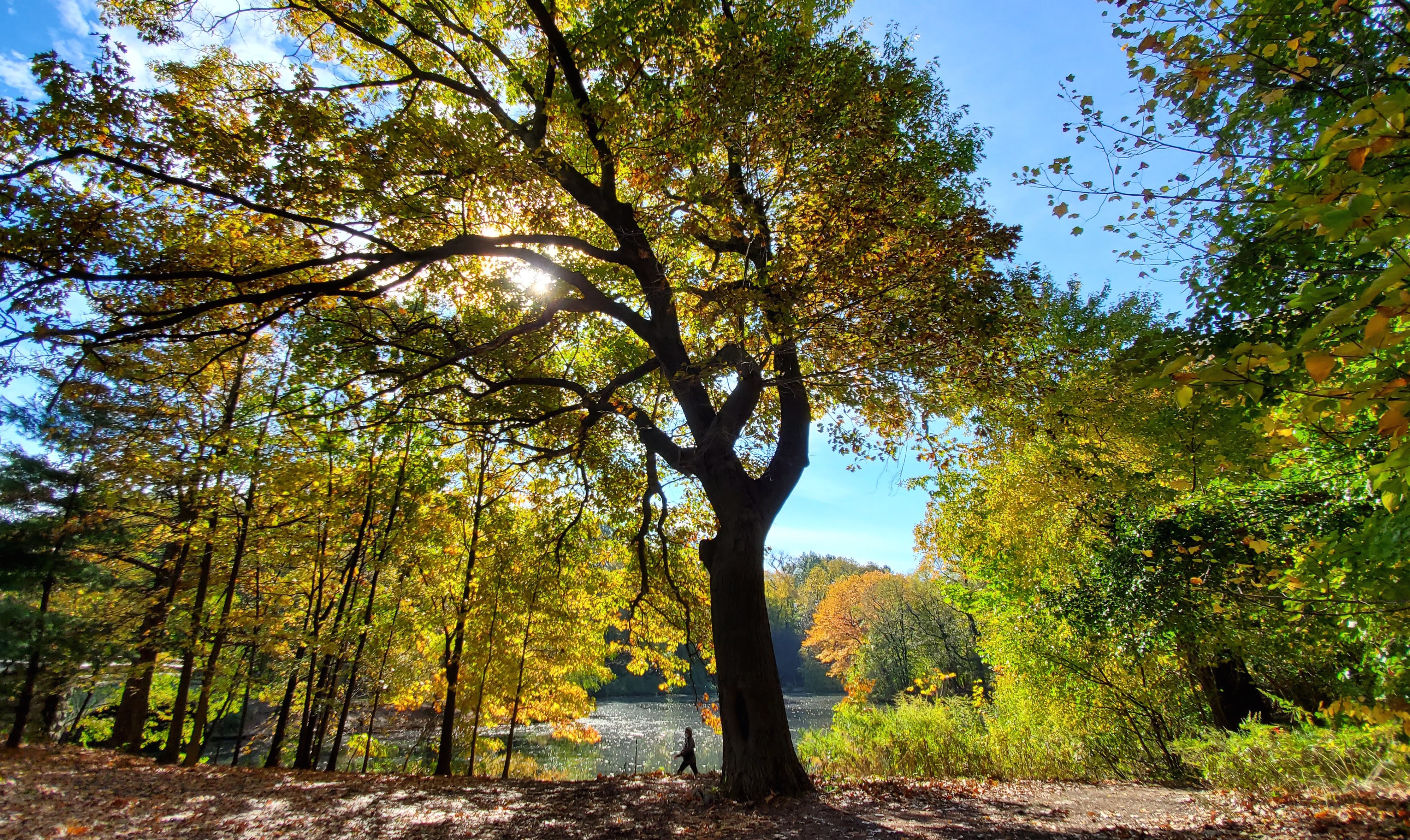 Fall Destinations at Parks: Ponds and Lakes : NYC Parks