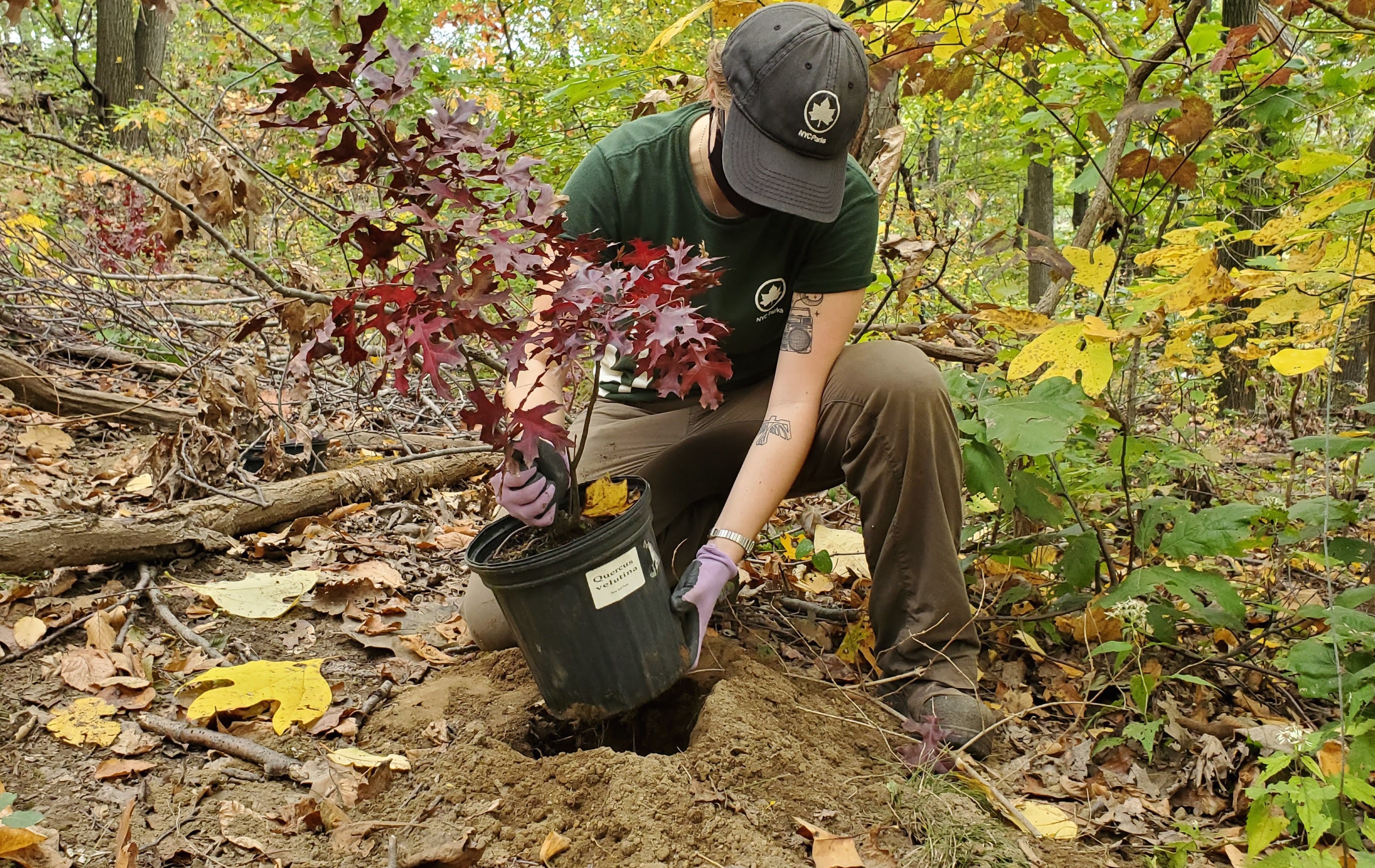 NYC Parks Weekend Fun Guide: Things to Do in NYC Parks this Weekend ...