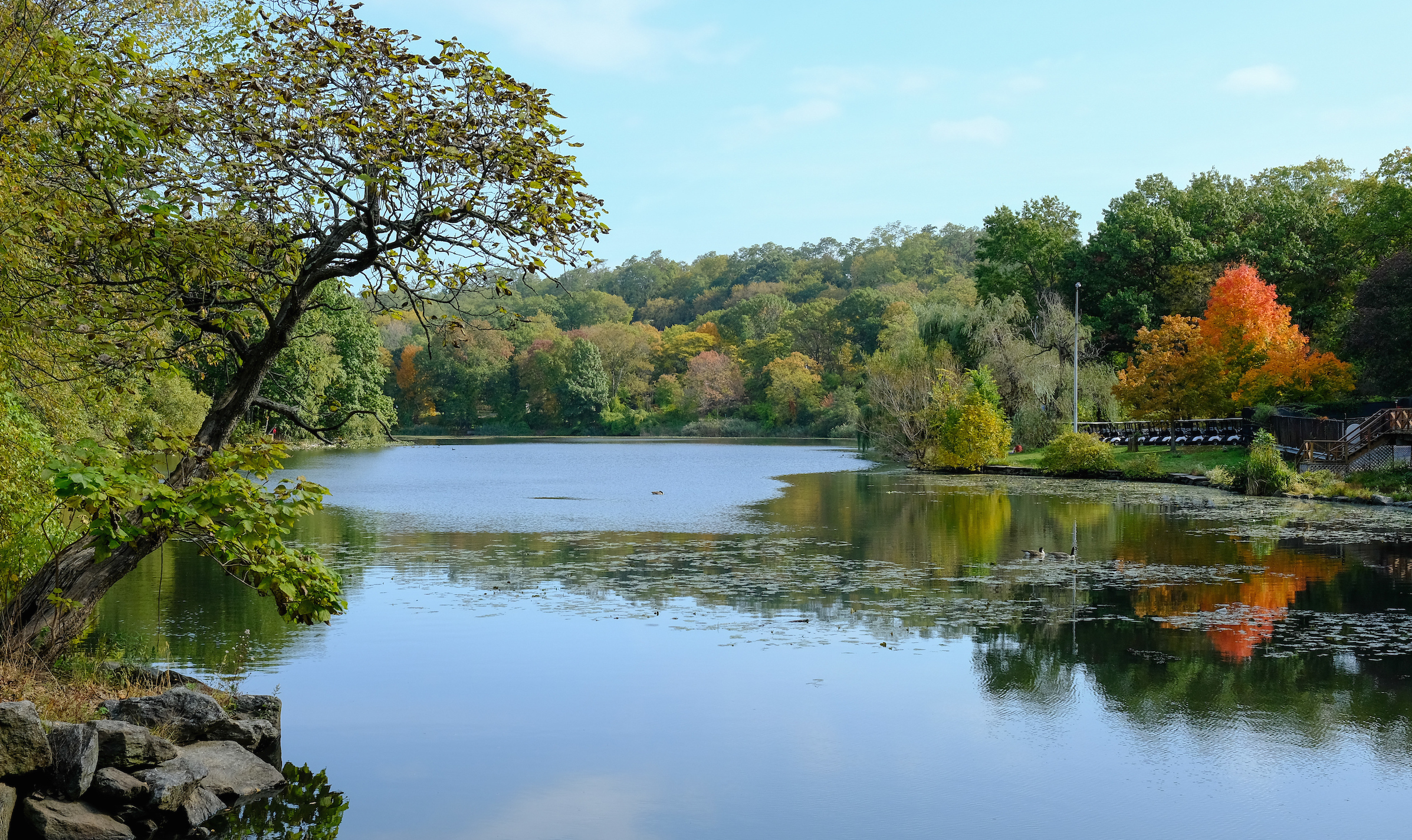 Fall Destinations at Parks: Ponds and Lakes : NYC Parks