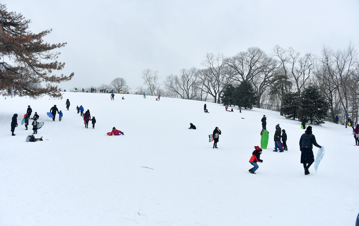 NYC Parks Weekend Fun Guide: Things to Do in NYC Parks this Weekend ...