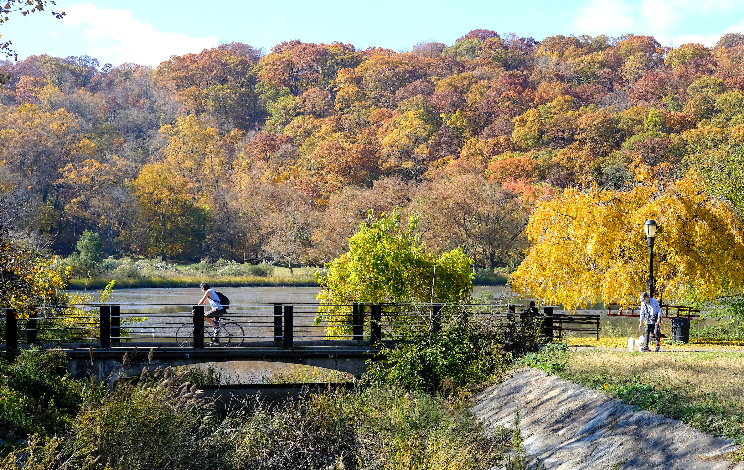 Restoring New York City's Ecosystems in the Face of Climate Change ...