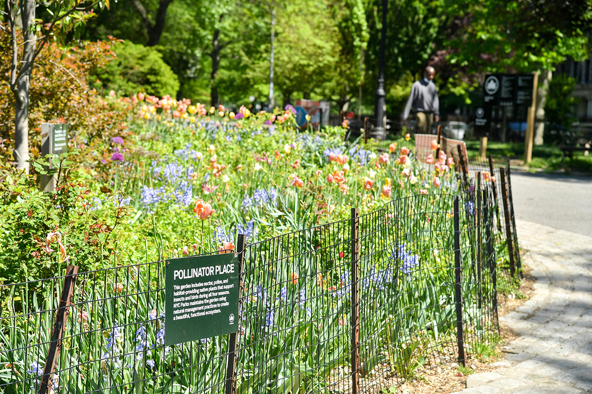 Pollinator Place Gardens : NYC Parks