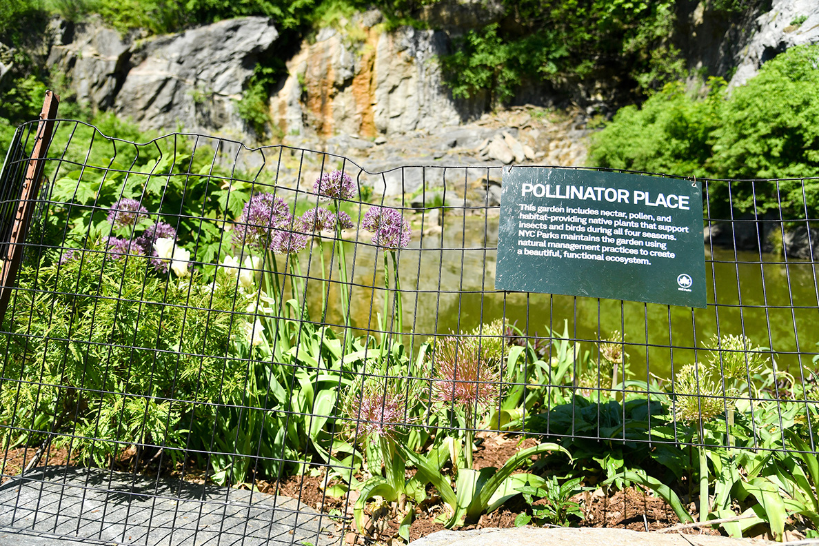 Pollinator Place Gardens : NYC Parks