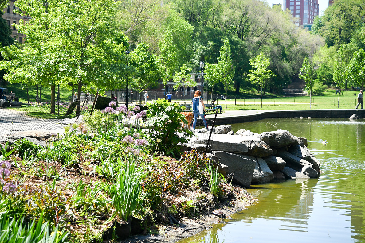 Pollinator Place Gardens : NYC Parks