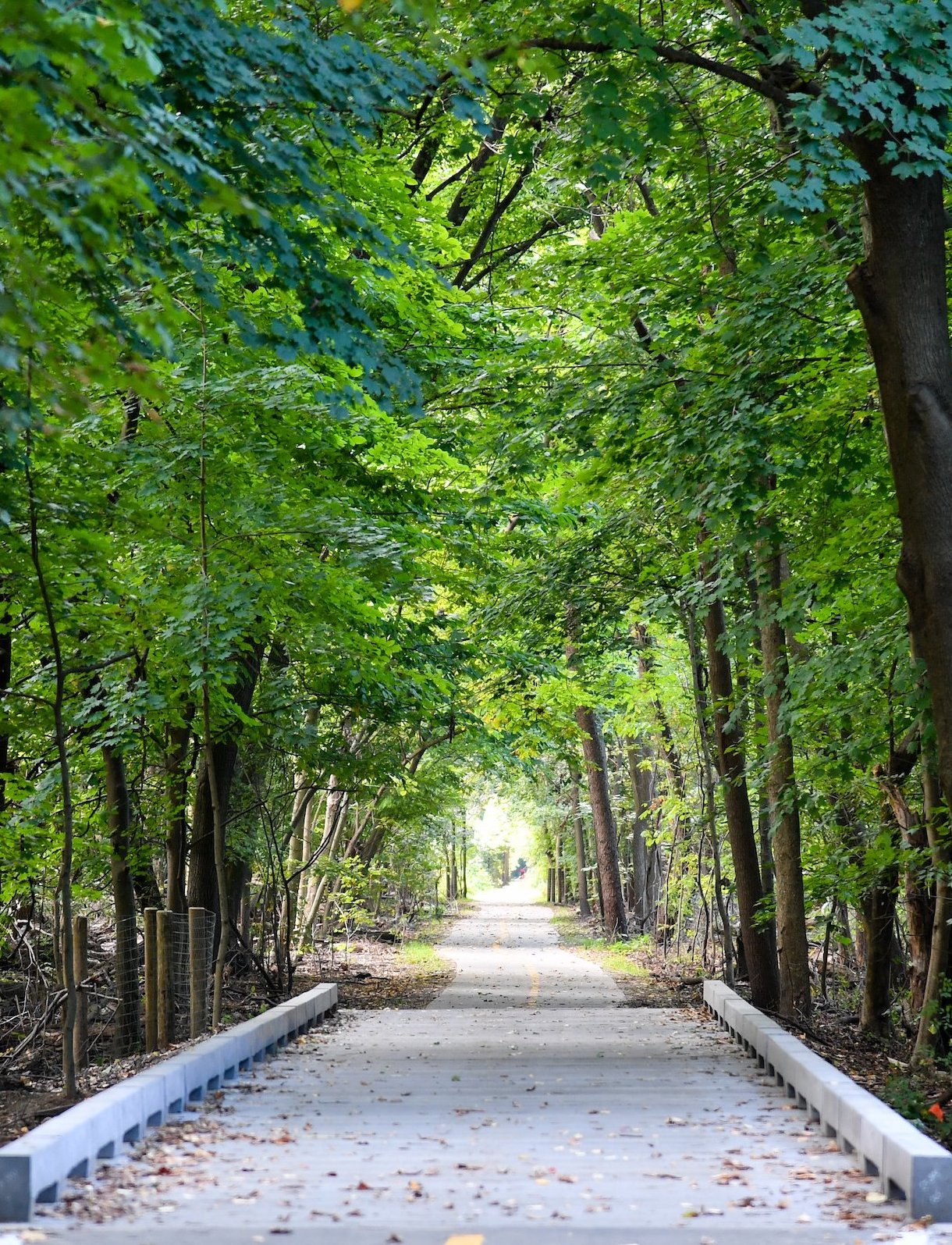 Summer Fun Guide : NYC Parks