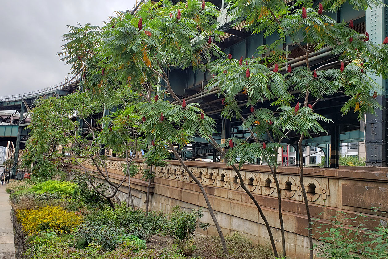 Pollinator Place Gardens : NYC Parks