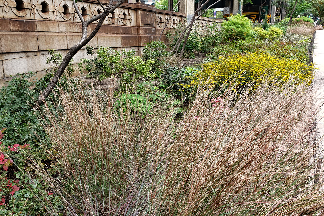 Pollinator Place Gardens : NYC Parks