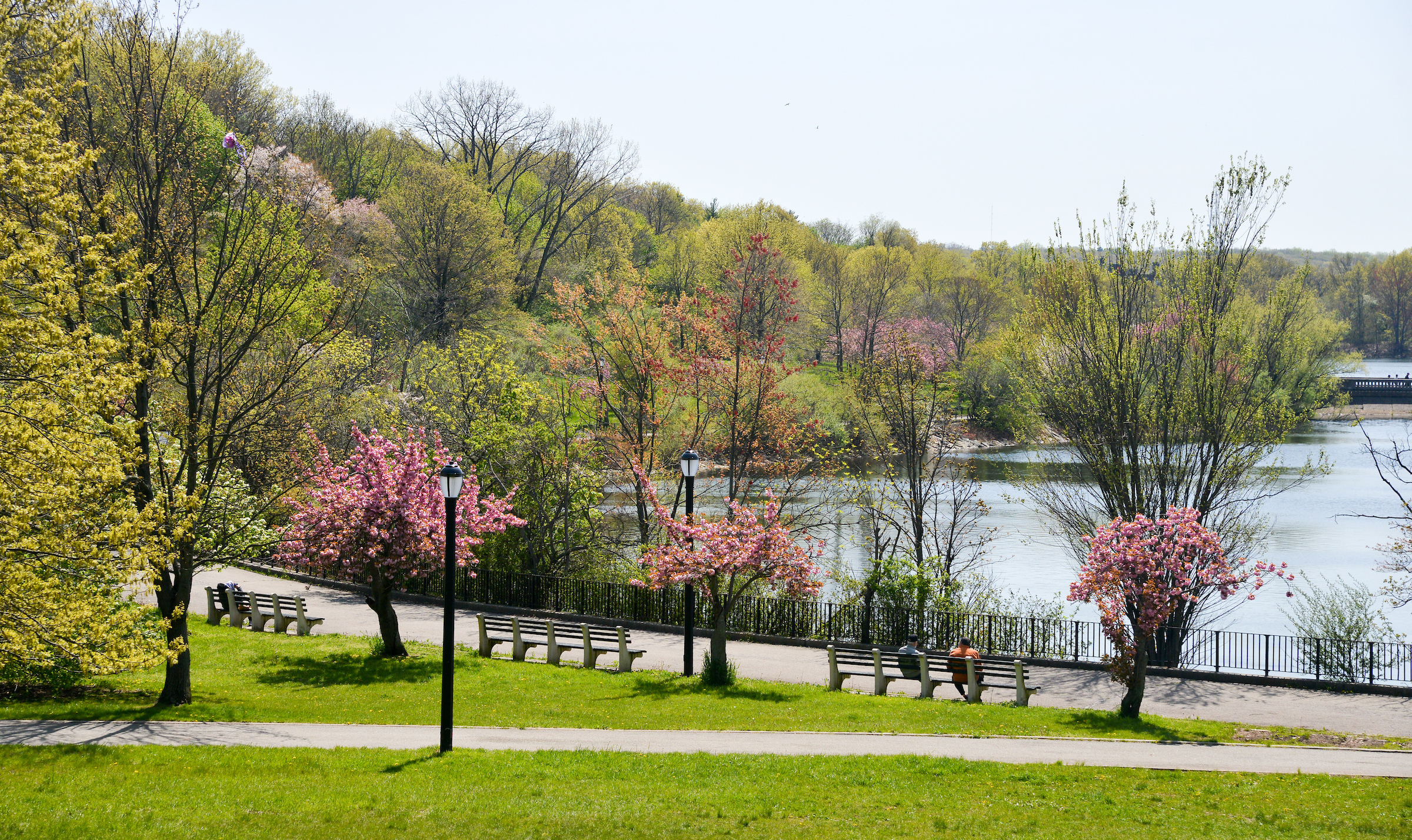 Beautiful Park In Spring