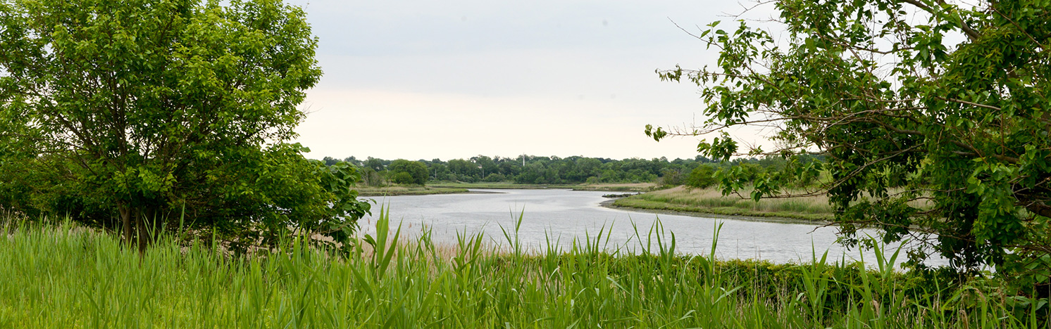 How NYC Parks Fights Climate Change: Cleaning Our Water and Protecting ...