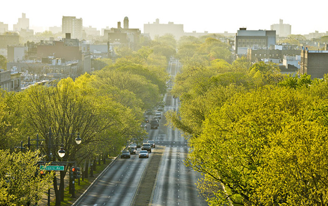 How NYC Parks Fights Climate Change: Restoring and Protecting Our ...