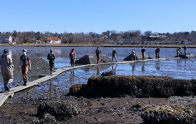 How NYC Parks Fights Climate Change: Restoring and Protecting Our ...