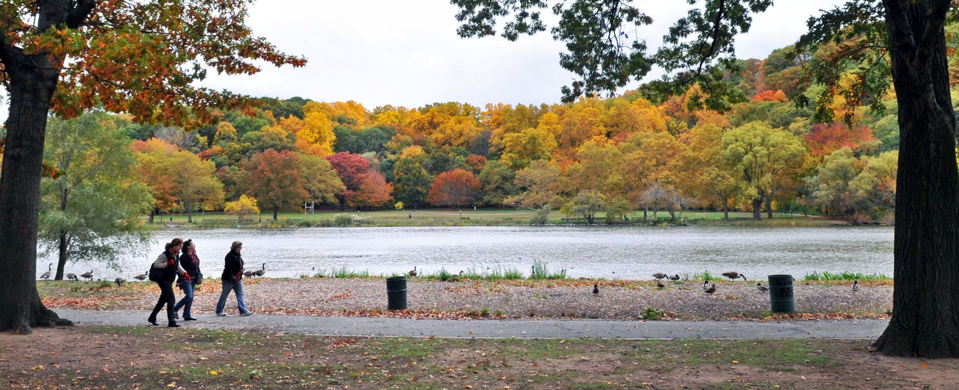 Fall Foliage : NYC Parks