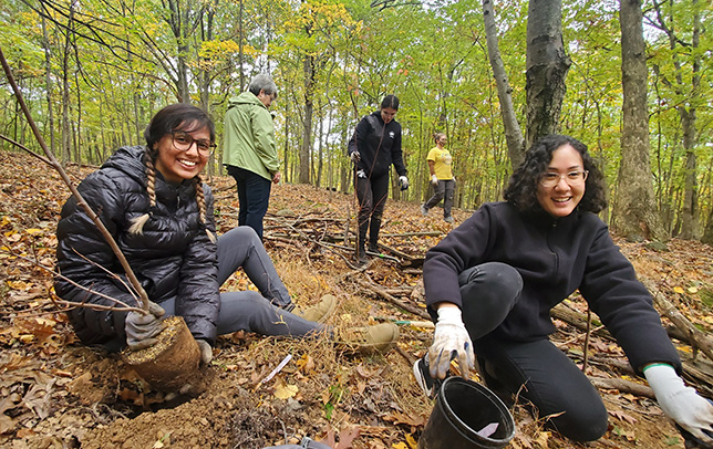 Sustainability at NYC Parks : NYC Parks