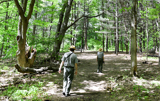 Sustainability at NYC Parks : NYC Parks