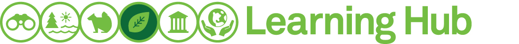Lookalike Leaves: How to Tell the Difference Between Maple Tree ...