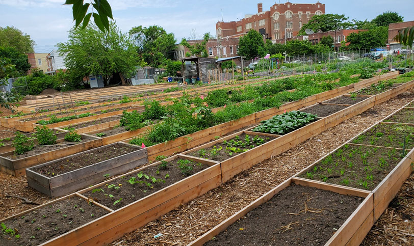 Resources for GreenThumb Community Gardeners : NYC Parks