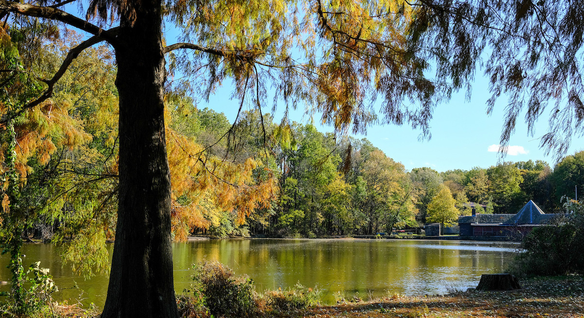 Fall Foliage in Parks : NYC Parks