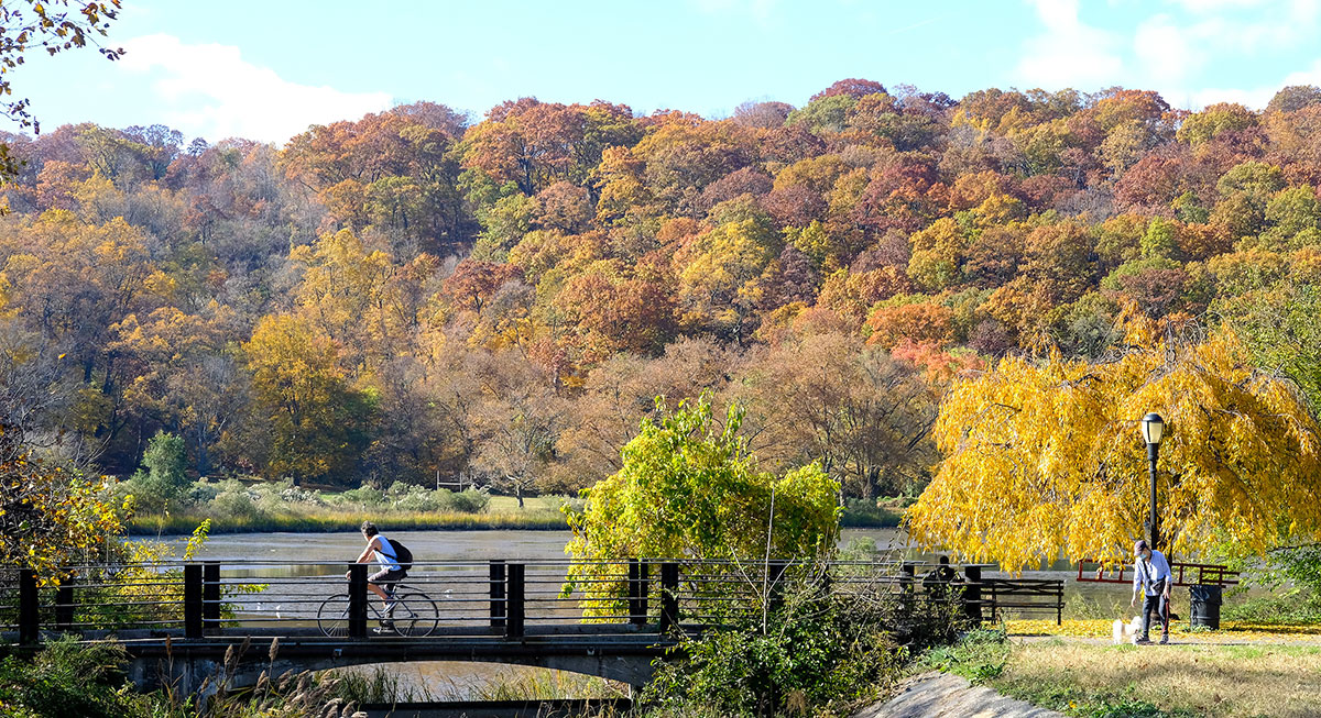 Fall Foliage in Parks : NYC Parks