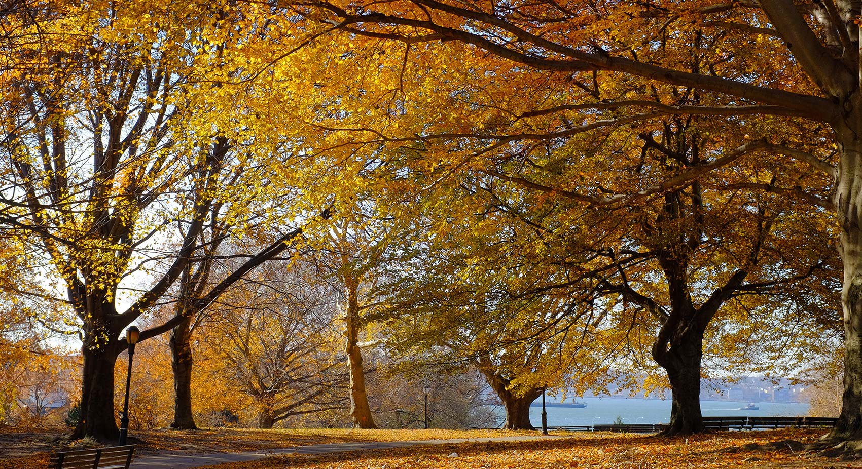 Fall Foliage in Parks : NYC Parks