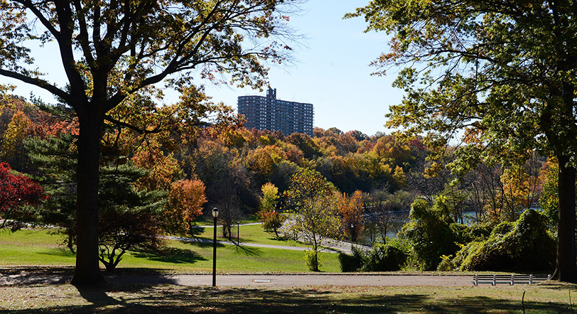 Fall Foliage in Parks : NYC Parks