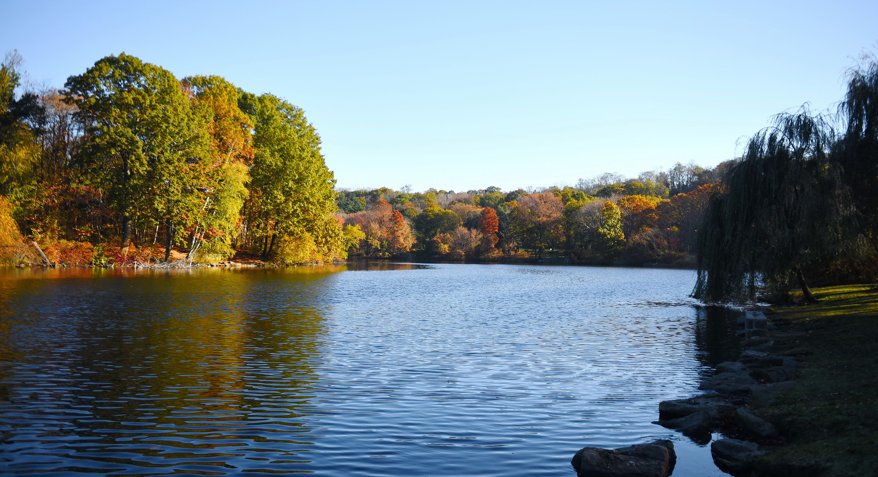 Fall Foliage in Parks : NYC Parks