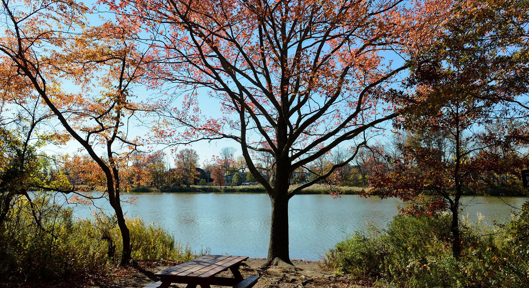 Fall Foliage in Parks : NYC Parks