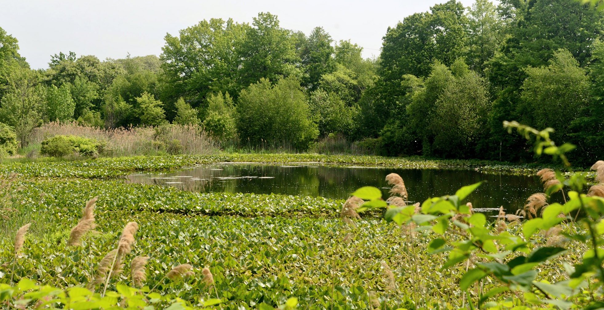 Urban Park Rangers : NYC Parks