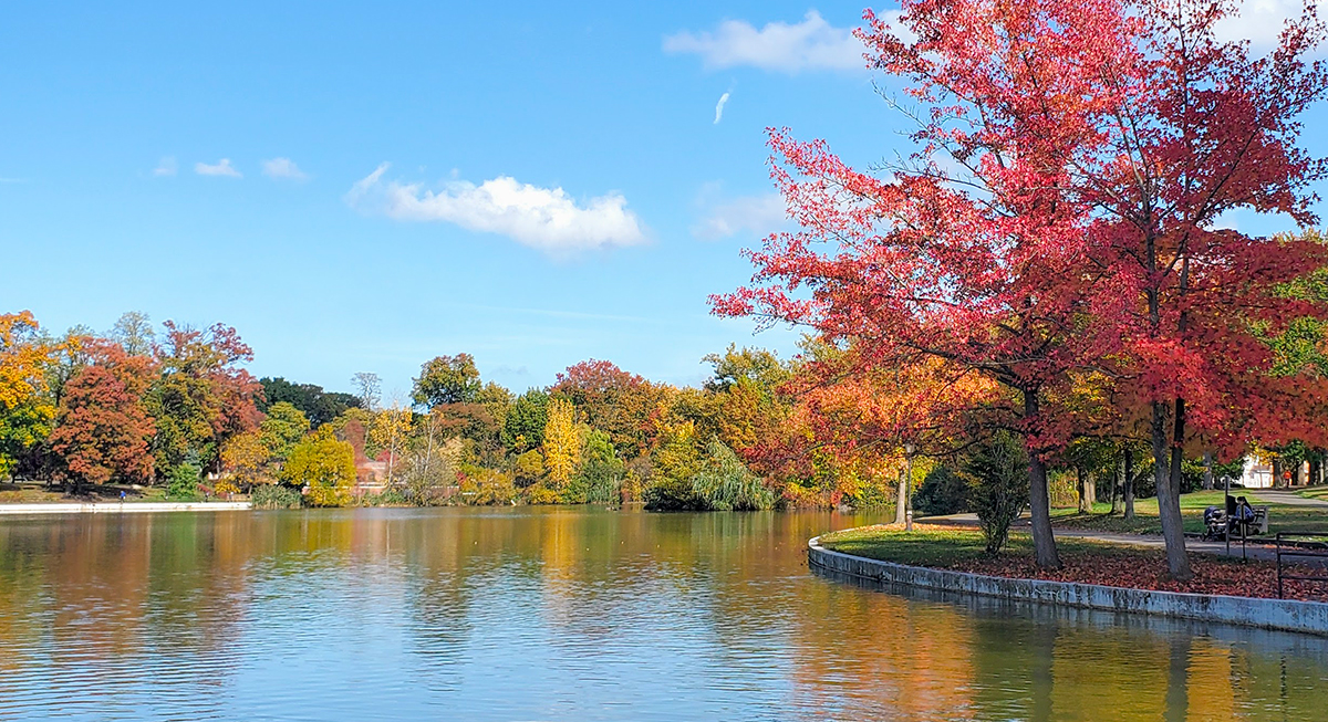 Fall Foliage in Parks : NYC Parks