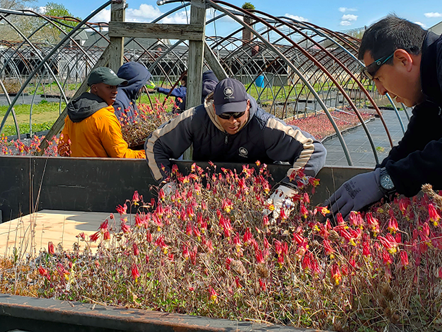 Resources for GreenThumb Community Gardeners : NYC Parks