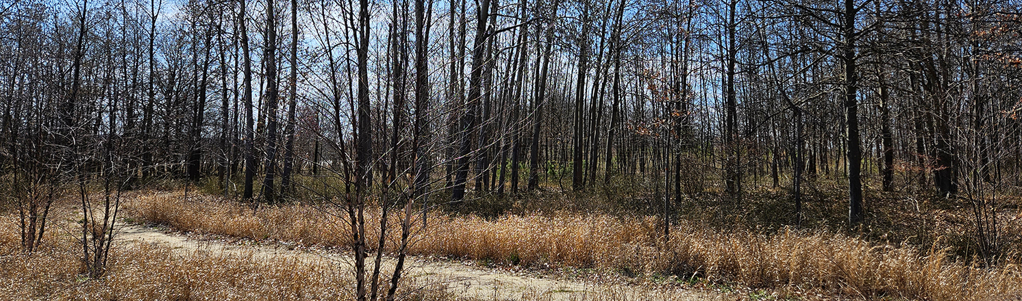 Fairview Park Hiking Trails : NYC Parks