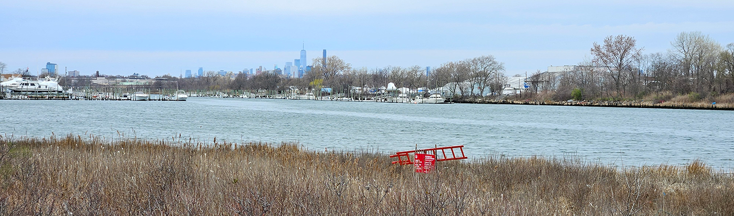 McGuire Fields Park Hiking Trails : NYC Parks