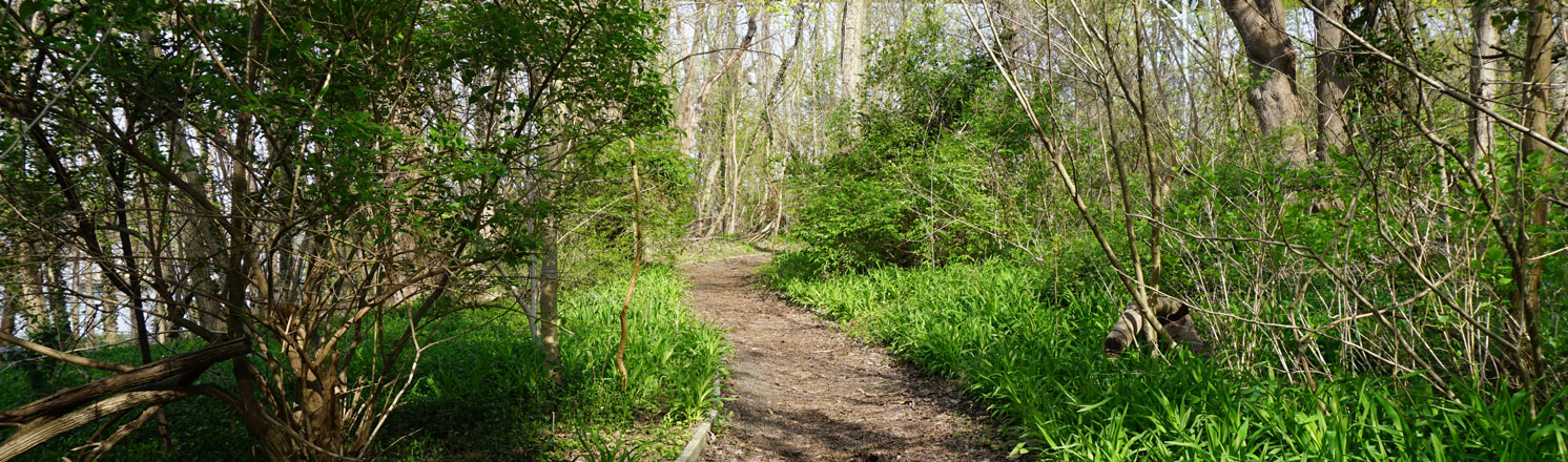 Spuyten Duyvil Shorefront Park Hiking Trails : NYC Parks