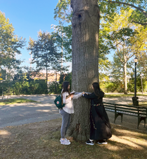 Trees Count Registration : NYC Parks