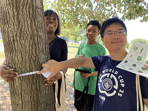 Trees Count Registration Nyc Parks