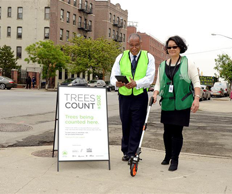 Trees Count Registration Nyc Parks